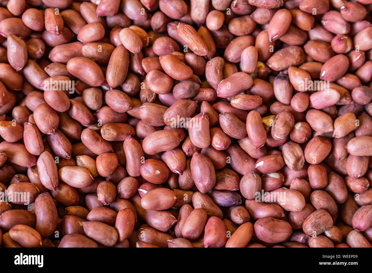 counter in a store with peanuts close-up. healthy diet food Stock Photo ...
