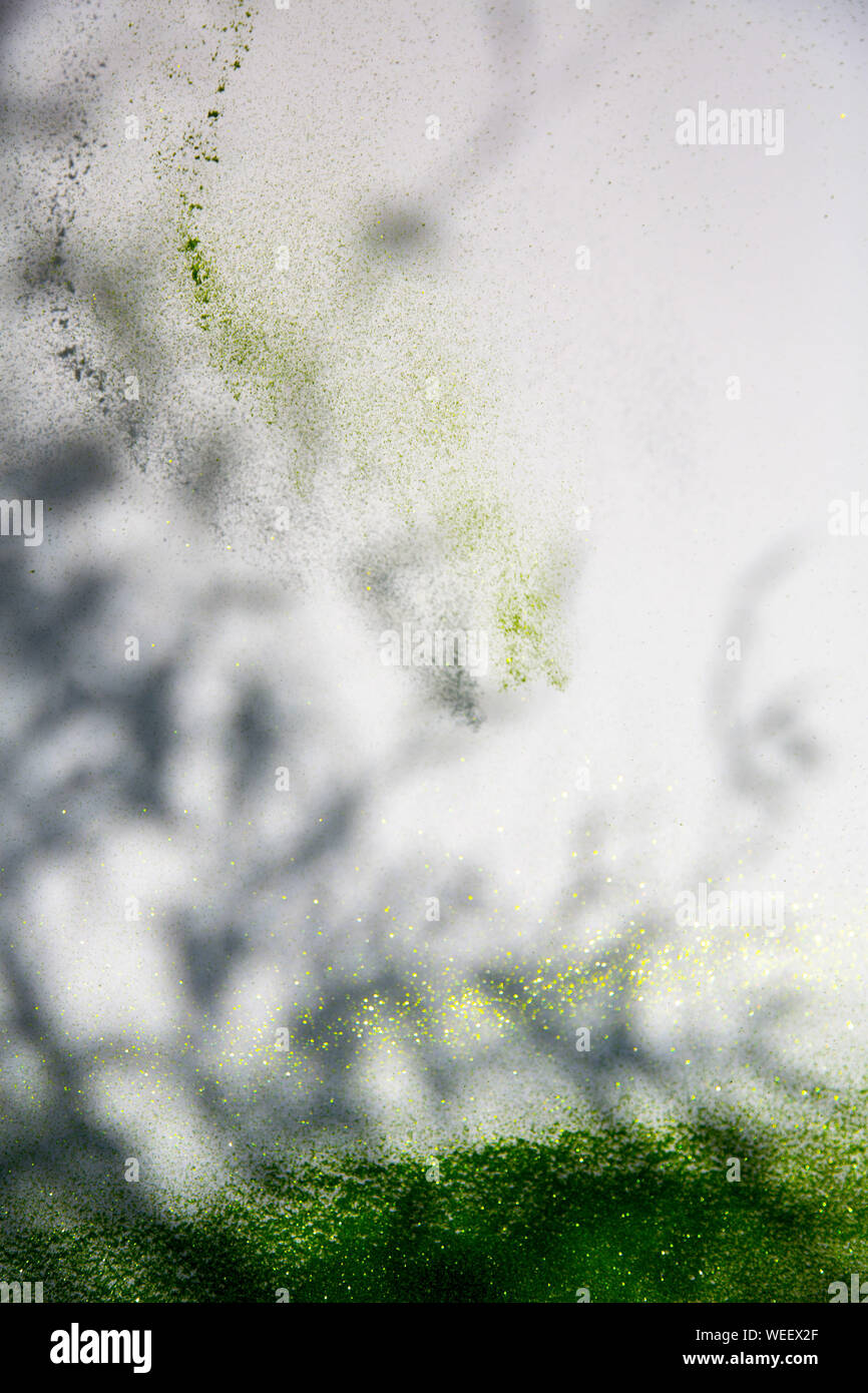 Green powder hi-res stock photography and images - Alamy