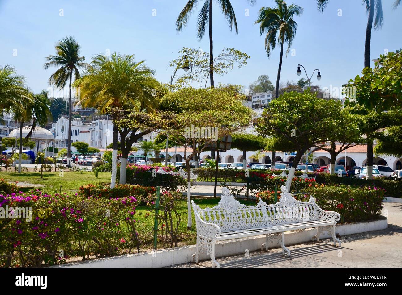 Marlin park hi-res stock photography and images - Alamy