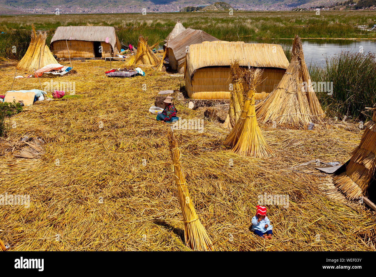 Pristine habitats hi-res stock photography and images - Alamy