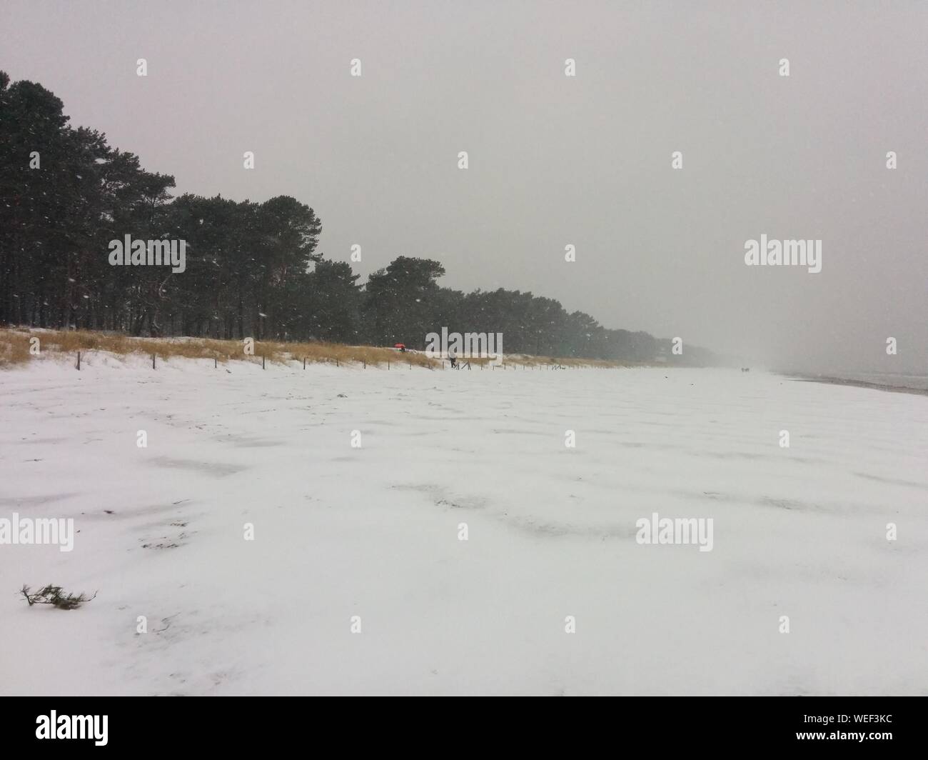 Blizzard landscape hi-res stock photography and images - Alamy