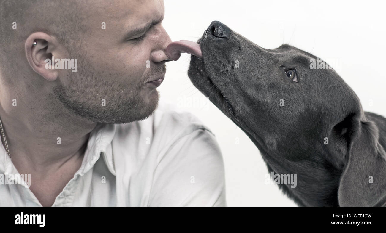 Black dog nose close up hi-res stock photography and images - Alamy