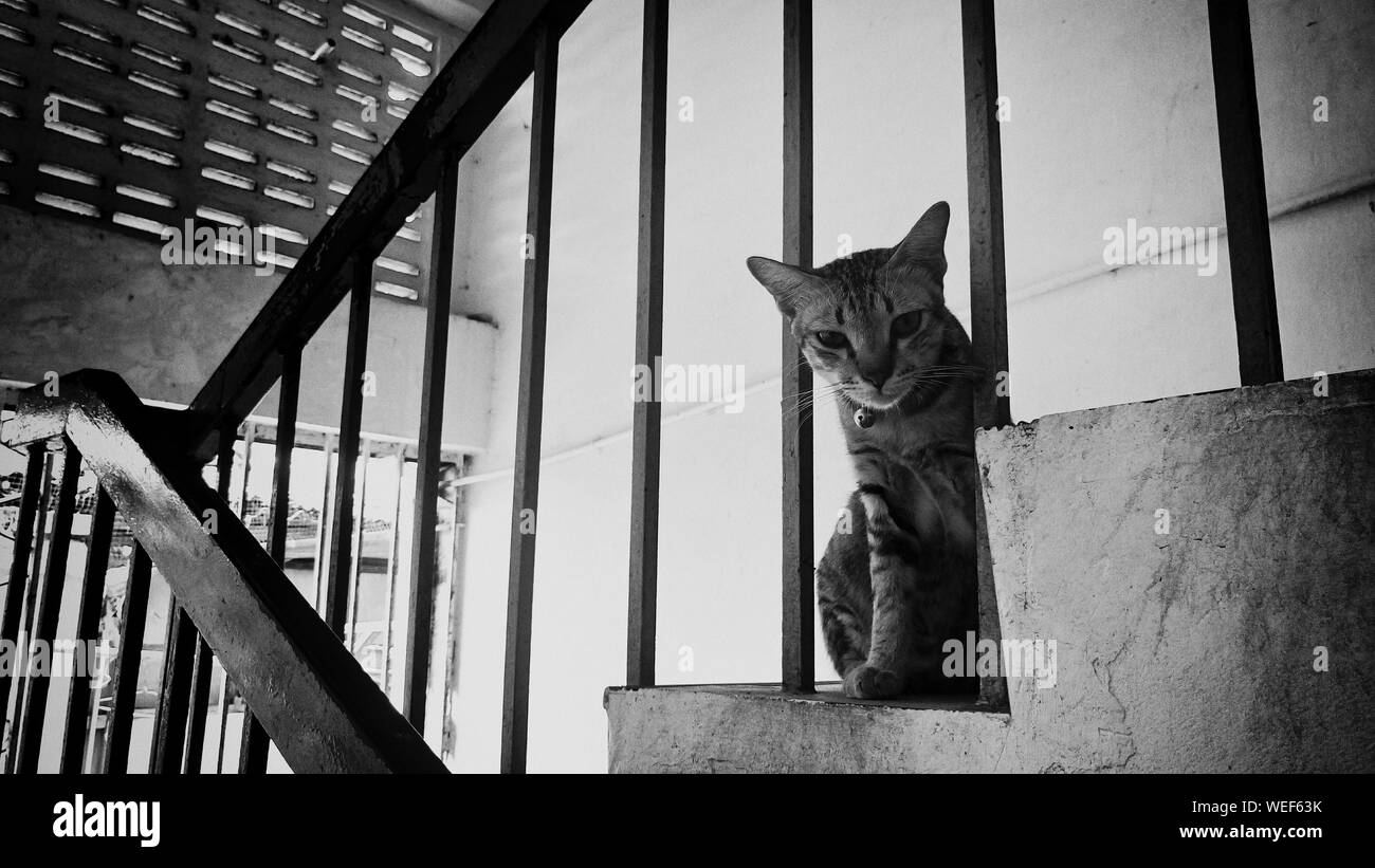 Sitting on handrail hi-res stock photography and images - Alamy