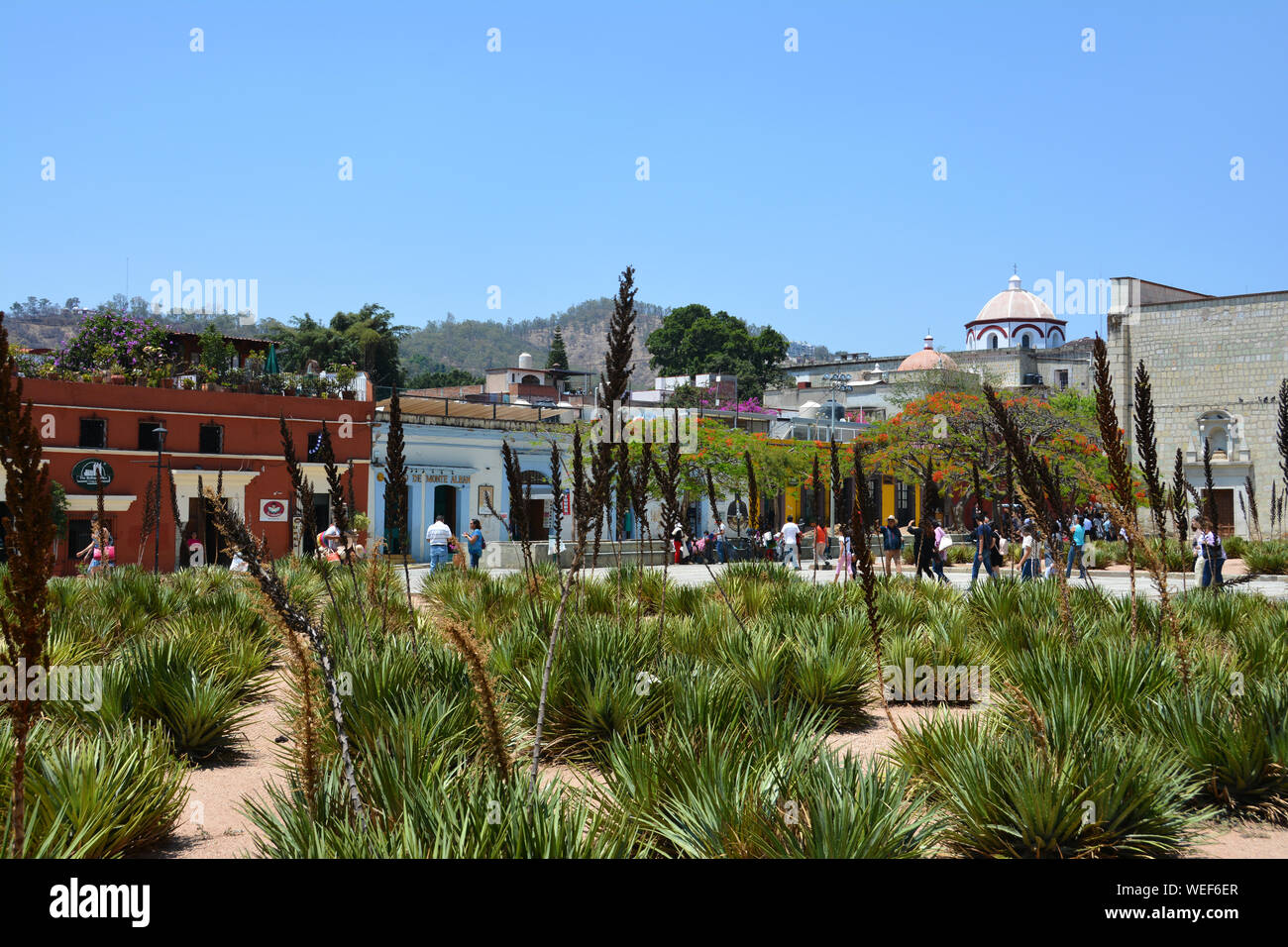 South Central Mexico Map