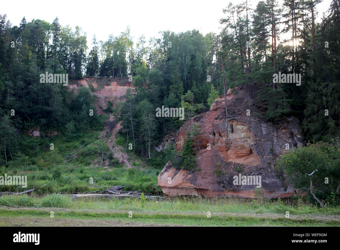 Built Structure In Forest Stock Photo - Alamy