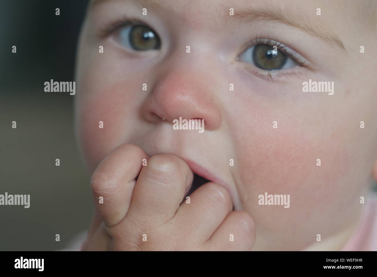 Baby chewing hi-res stock photography and images - Alamy