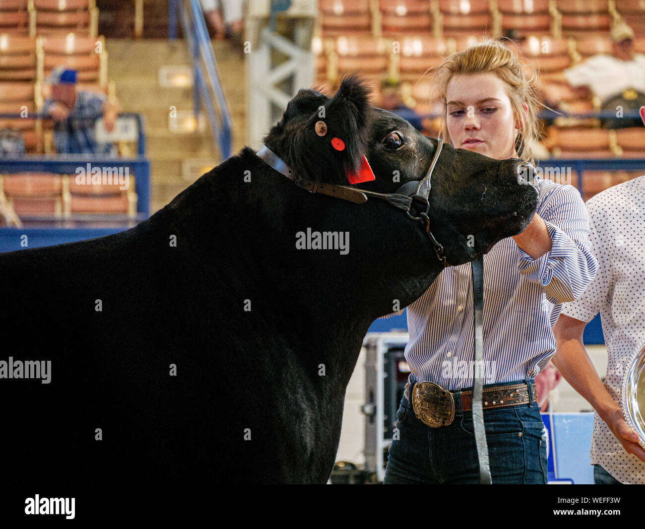 Illinois state fair hi-res stock photography and images - Alamy