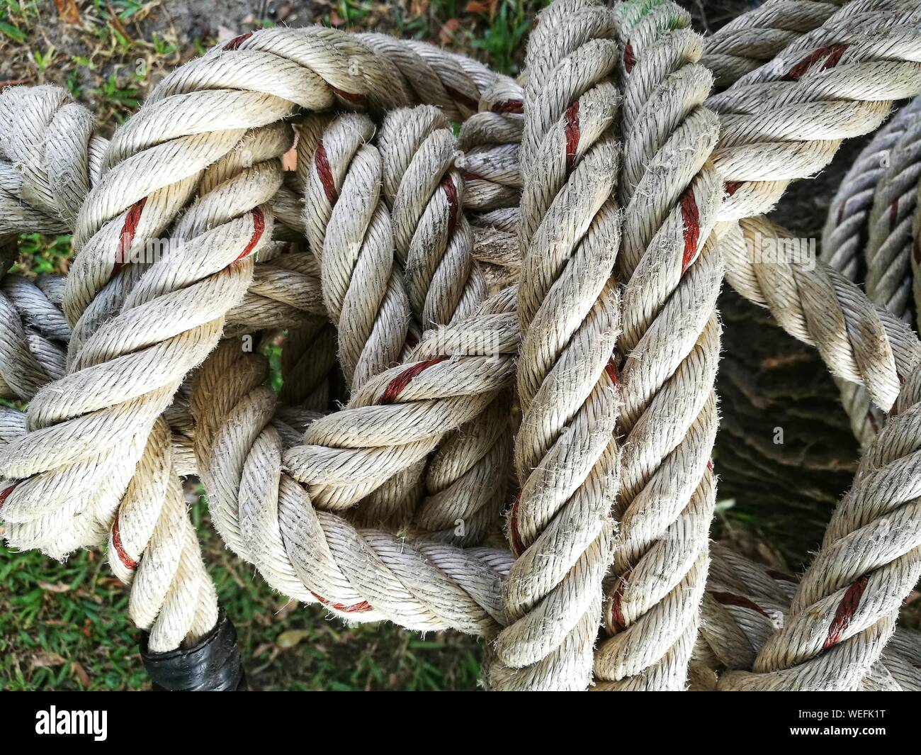 Rope Grass High Resolution Stock Photography and Images - Alamy