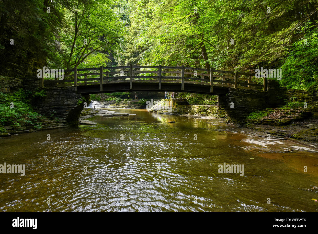 A picturesque foot bridge spans Buttermilk Falls Creek In Ithaca, NY ...