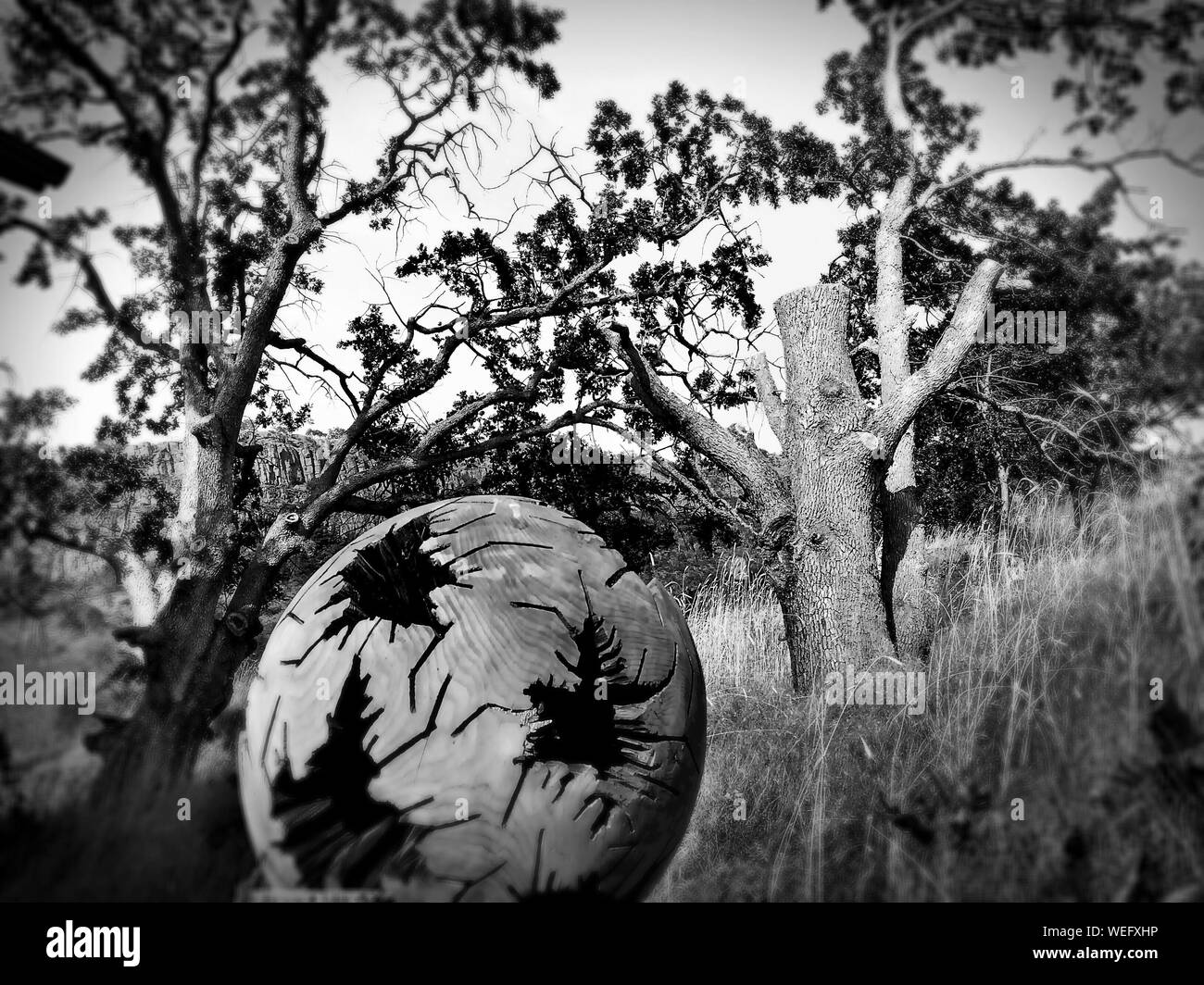 Damaged ball hi-res stock photography and images - Alamy