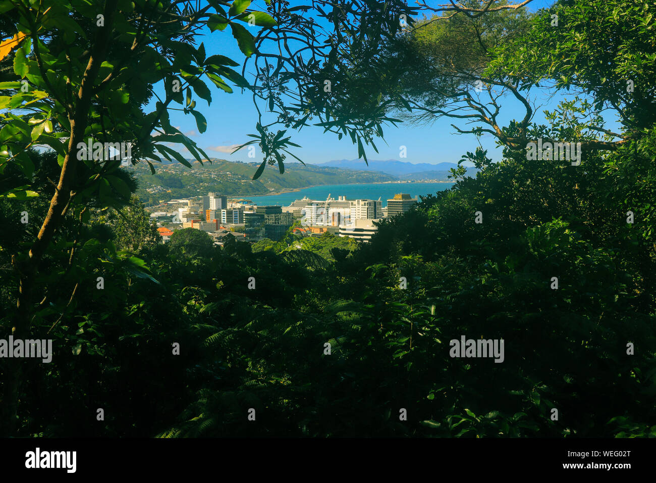 Botanic landscape hi-res stock photography and images - Alamy