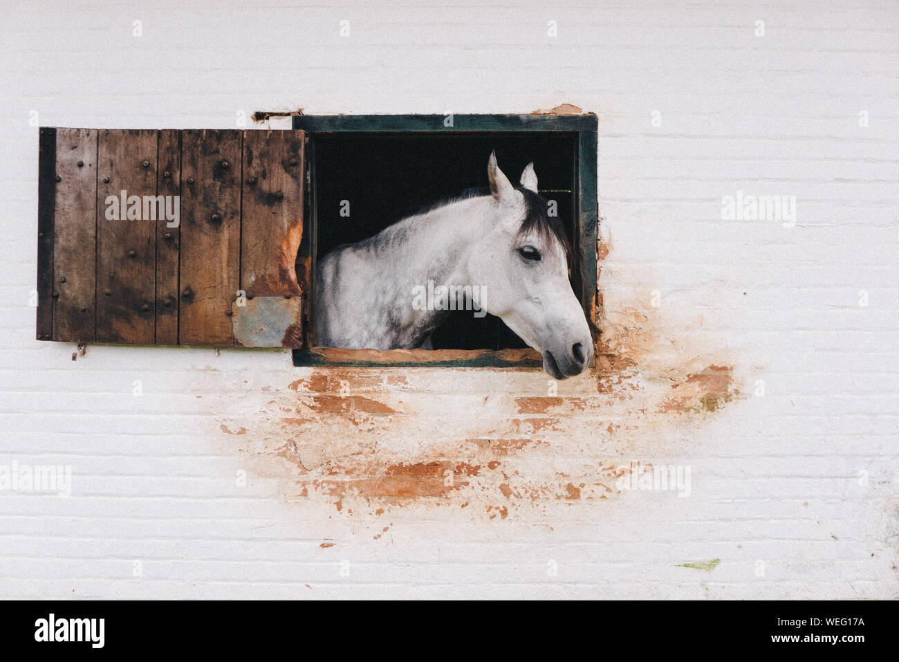 Horse stable hi-res stock photography and images - Alamy