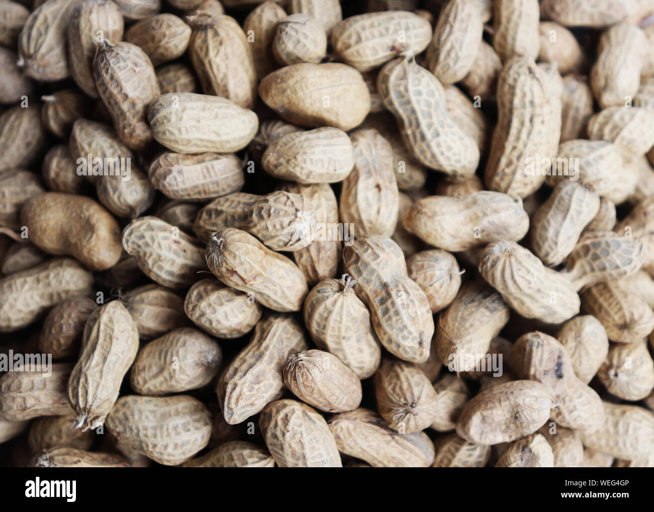 Peeled ripe peanuts hi-res stock photography and images - Alamy