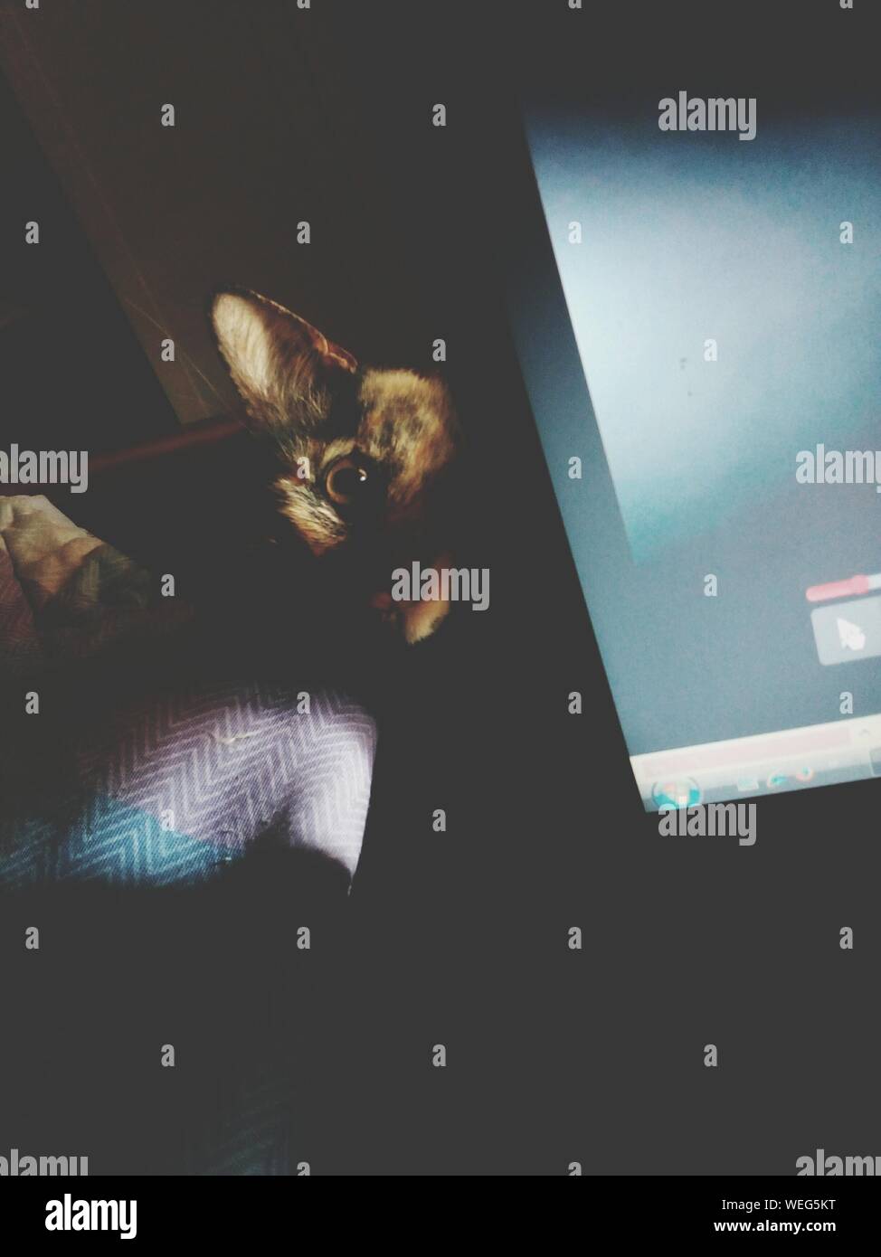 Behind computer screen hi-res stock photography and images - Alamy