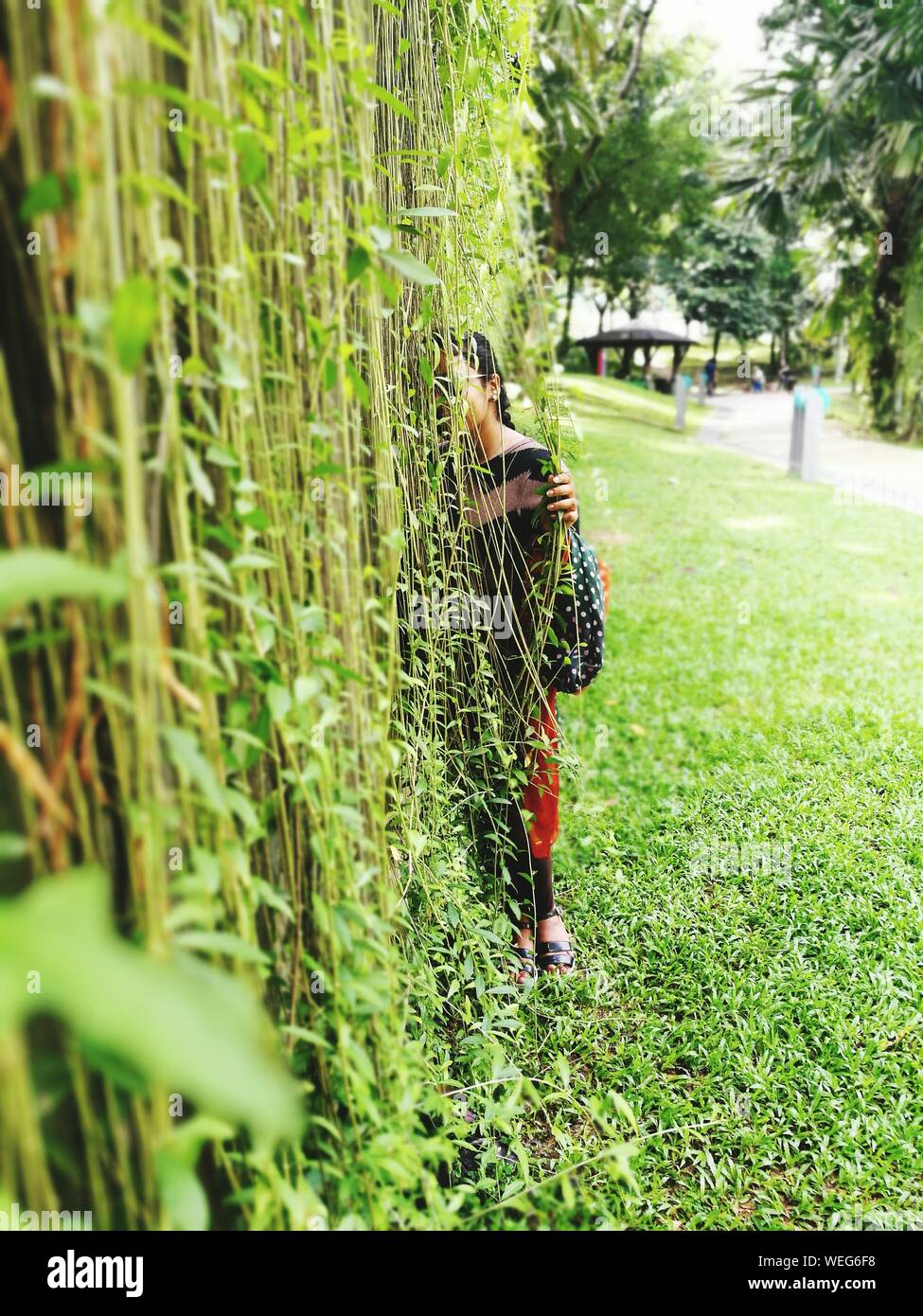 Person Hiding In Public High Resolution Stock Photography and Images ...