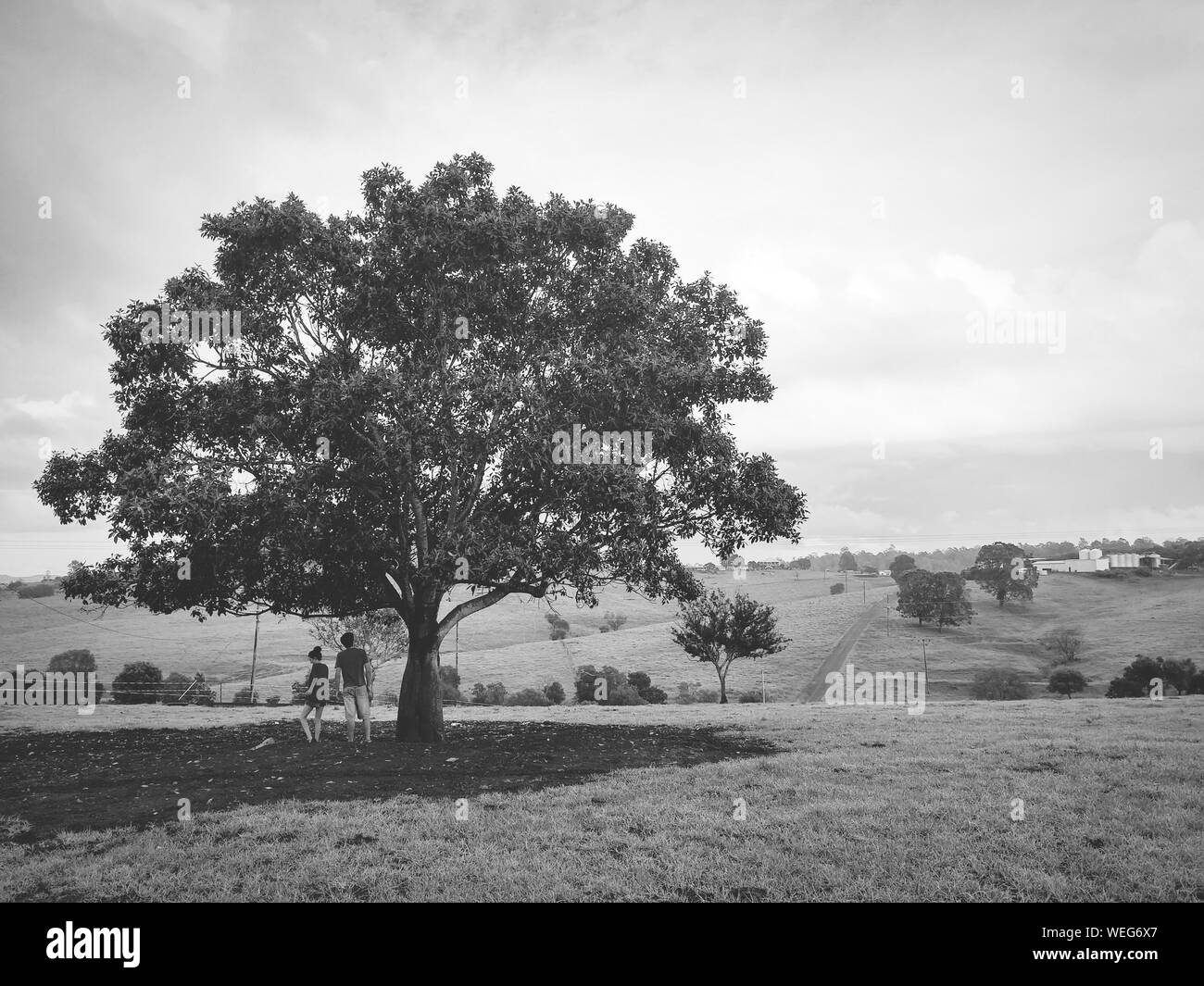 Women standing under tree hi-res stock photography and images - Alamy