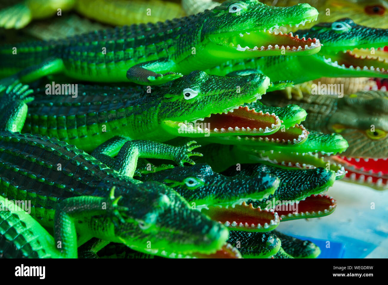 Focus stack crocodile hi-res stock photography and images - Alamy