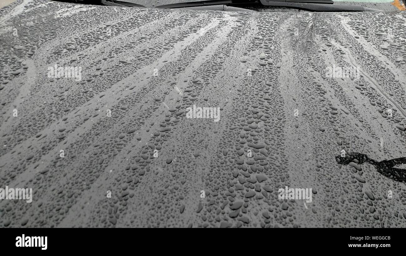 Water bonnet hi-res stock photography and images - Alamy