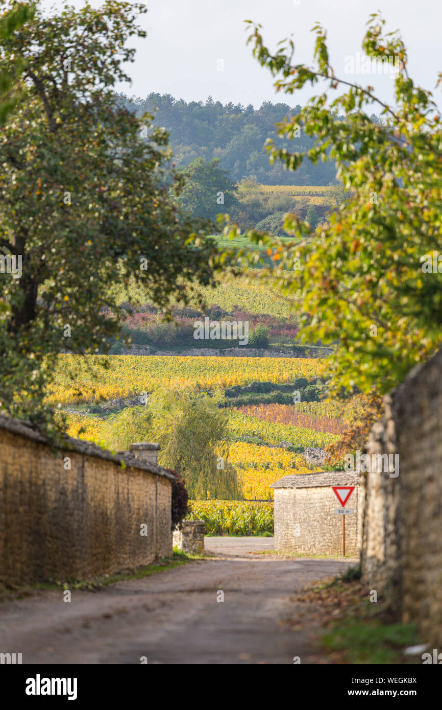 Meursault village hi-res stock photography and images - Alamy
