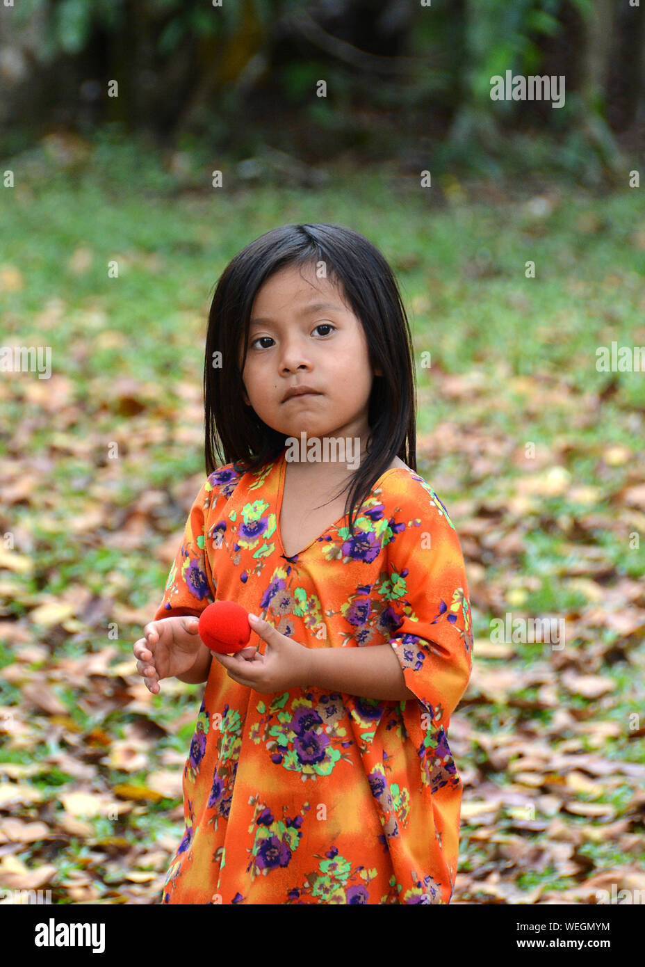 central and south mexico Stock Photo - Alamy