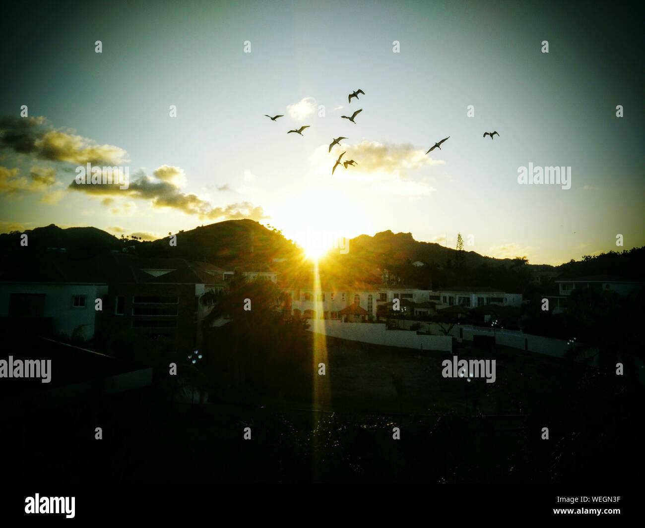 Birds dark sky hi-res stock photography and images - Alamy