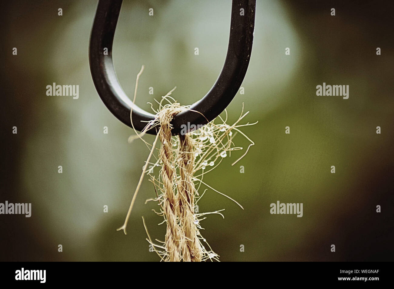 Rope rope ring hi-res stock photography and images - Alamy