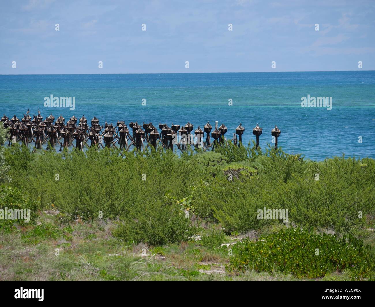 Harbor view of Fort Jefferson with birds on top of them at the Dry ...