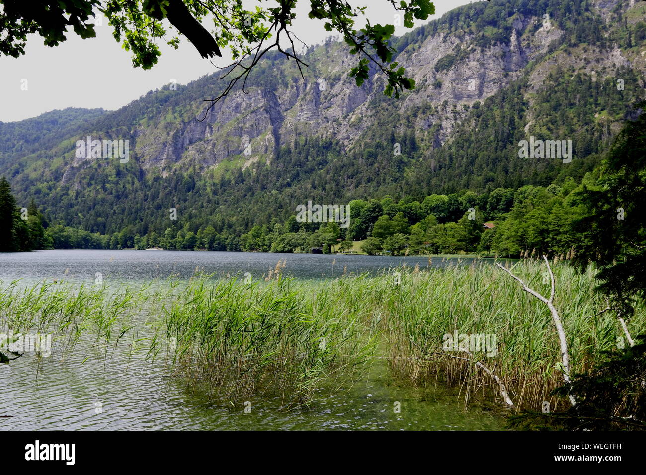 Wanderung um den Thumsee Stock Photo - Alamy