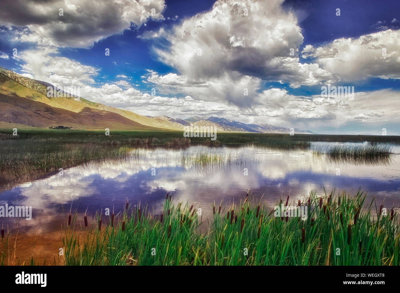Ruby lake national wildlife refuge hi-res stock photography and images ...