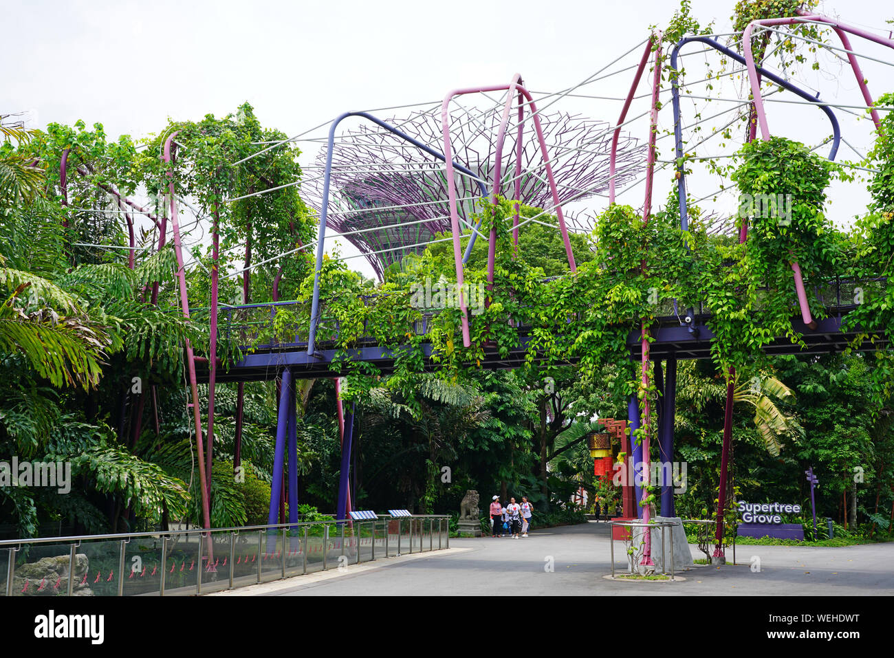 SINGAPORE -25 AUG 2019- View of the Supertree Grove, man-made metal ...