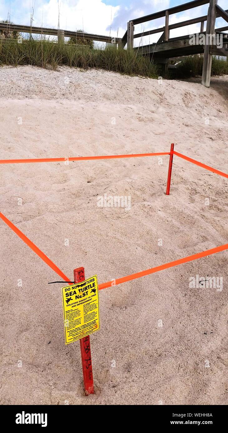 Turtle sign beach hi-res stock photography and images - Alamy