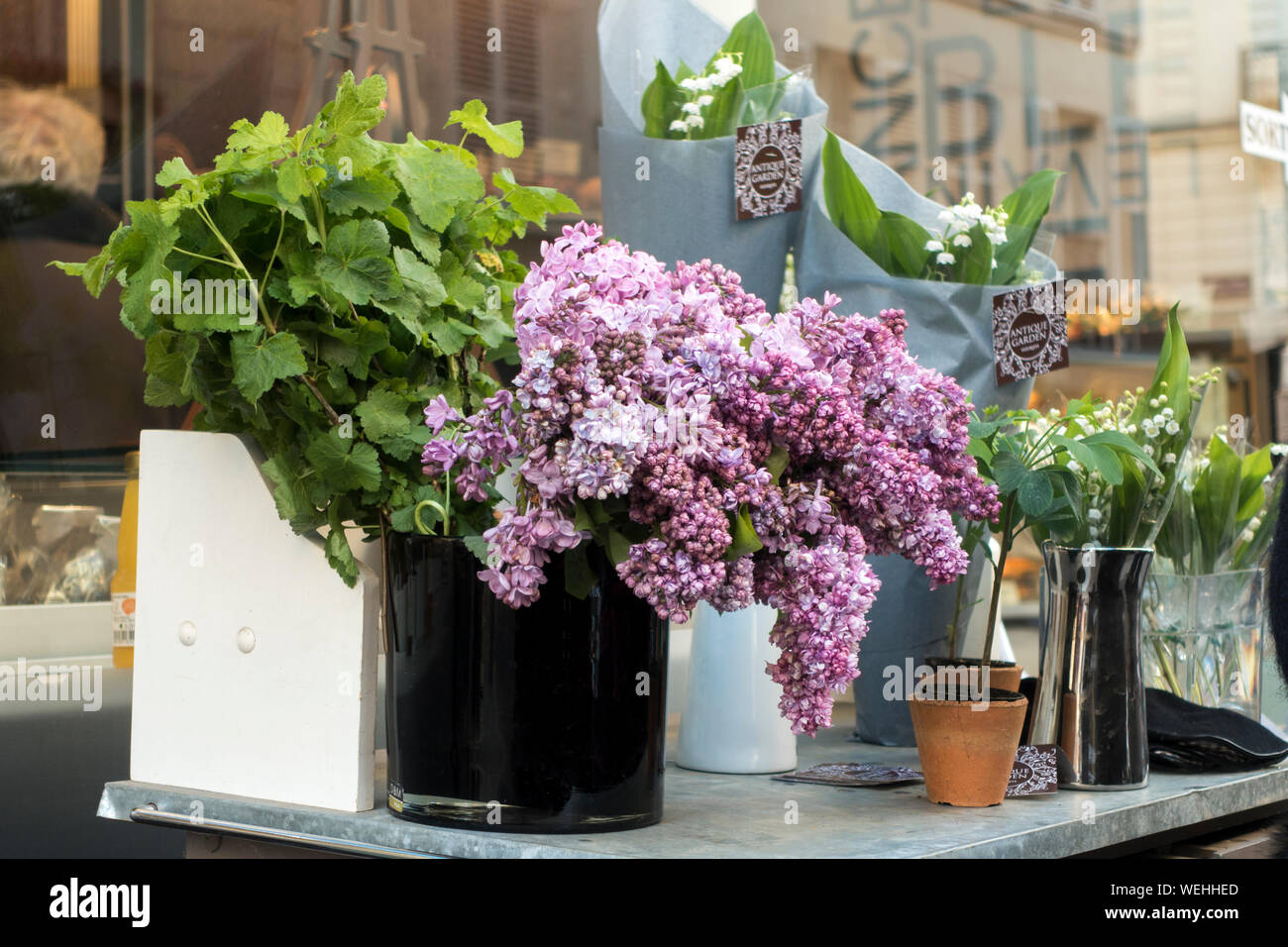 France lily flower hi-res stock photography and images - Alamy