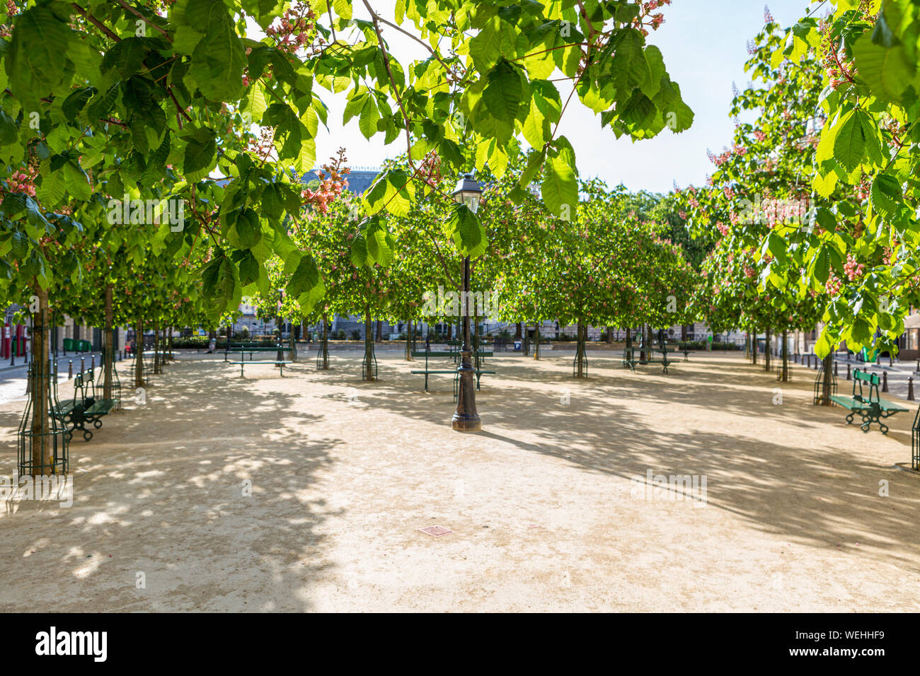 Paris spring place dauphine hi-res stock photography and images - Alamy