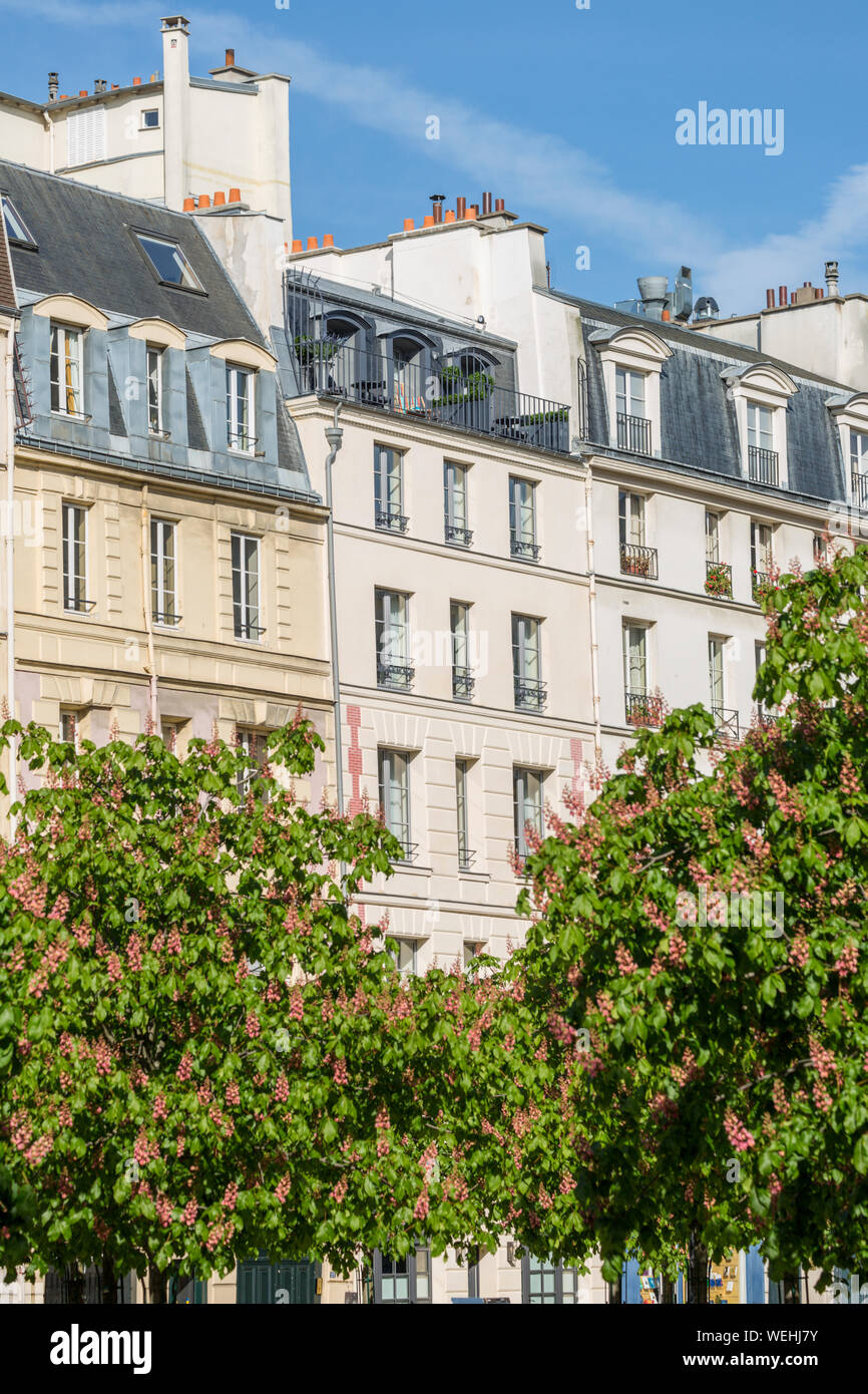 Paris spring chestnut hi-res stock photography and images - Alamy