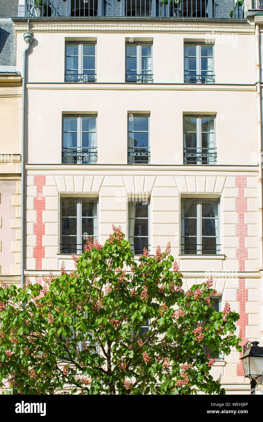 Place Dauphine with chestnut tree, Paris, France Stock Photo - Alamy