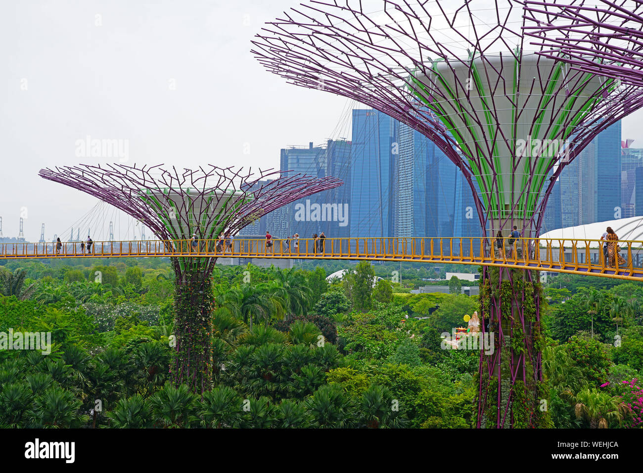 SINGAPORE -25 AUG 2019- View of the Supertree Grove, man-made metal ...