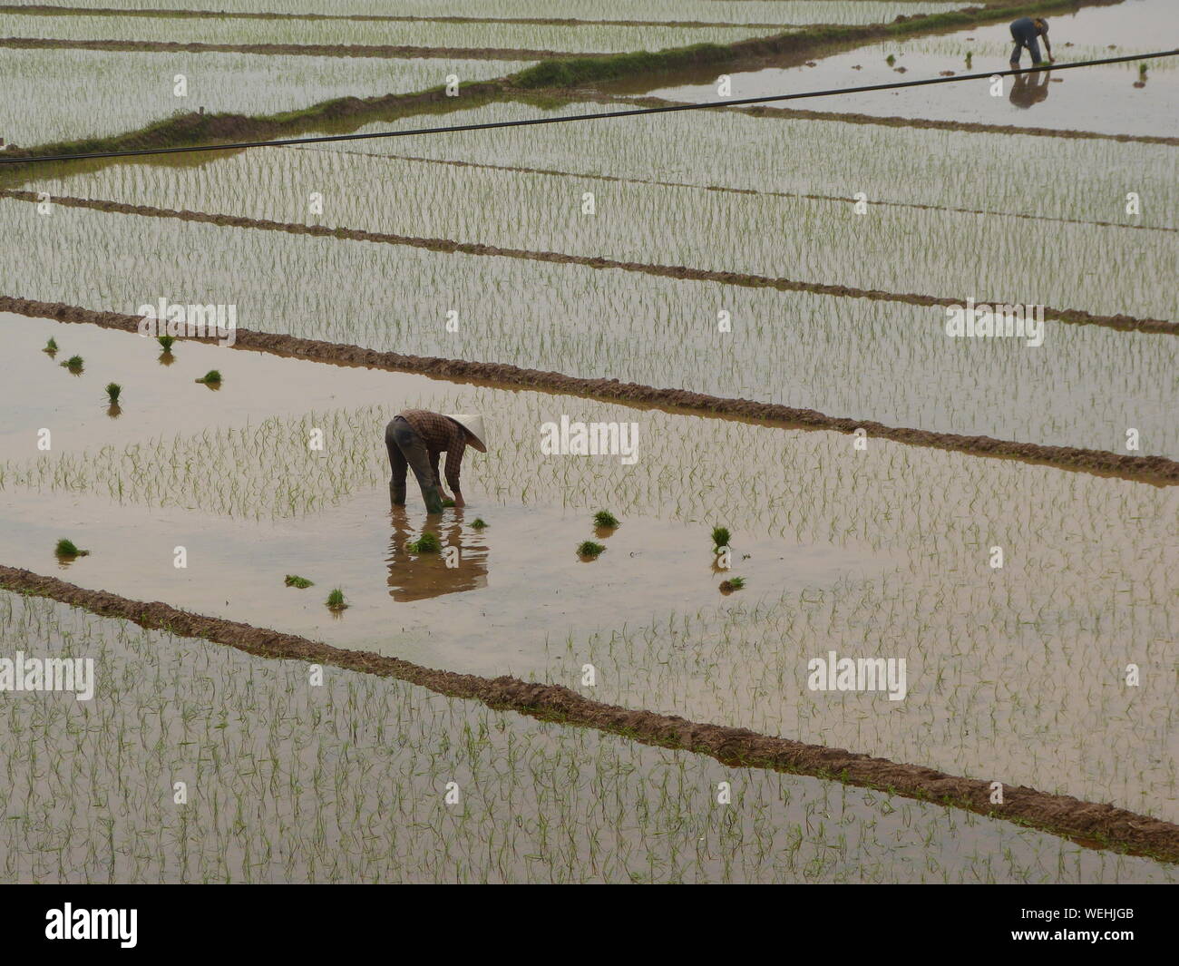 Farmers planting hi-res stock photography and images - Alamy