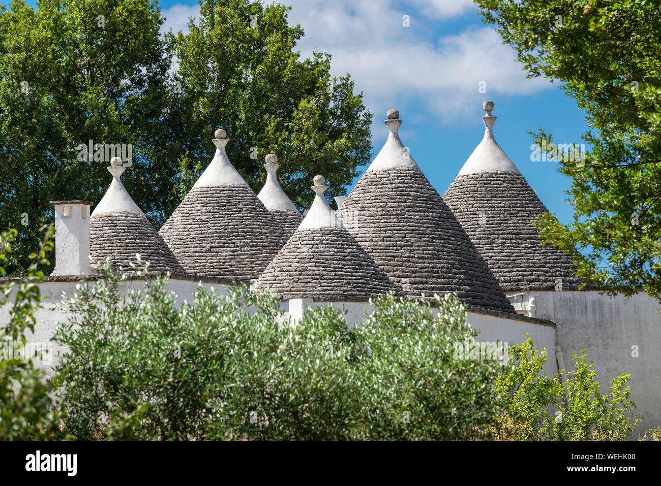 The typical conical stone roofs of trulli houses between Locorotondo ...