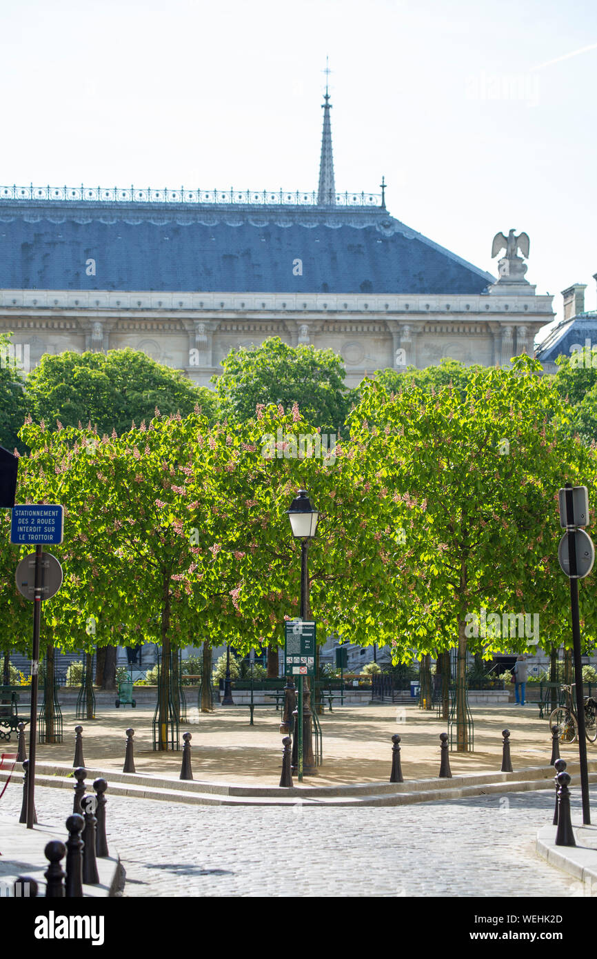 Chestnut trees in bloom in Place Dauphine, Paris, France Stock Photo ...