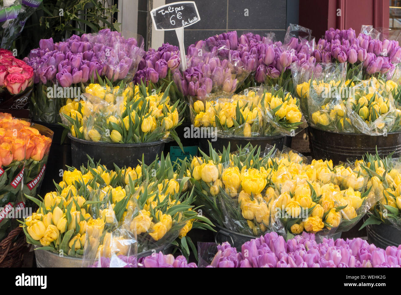 France tulips spring flowers hi-res stock photography and images - Alamy