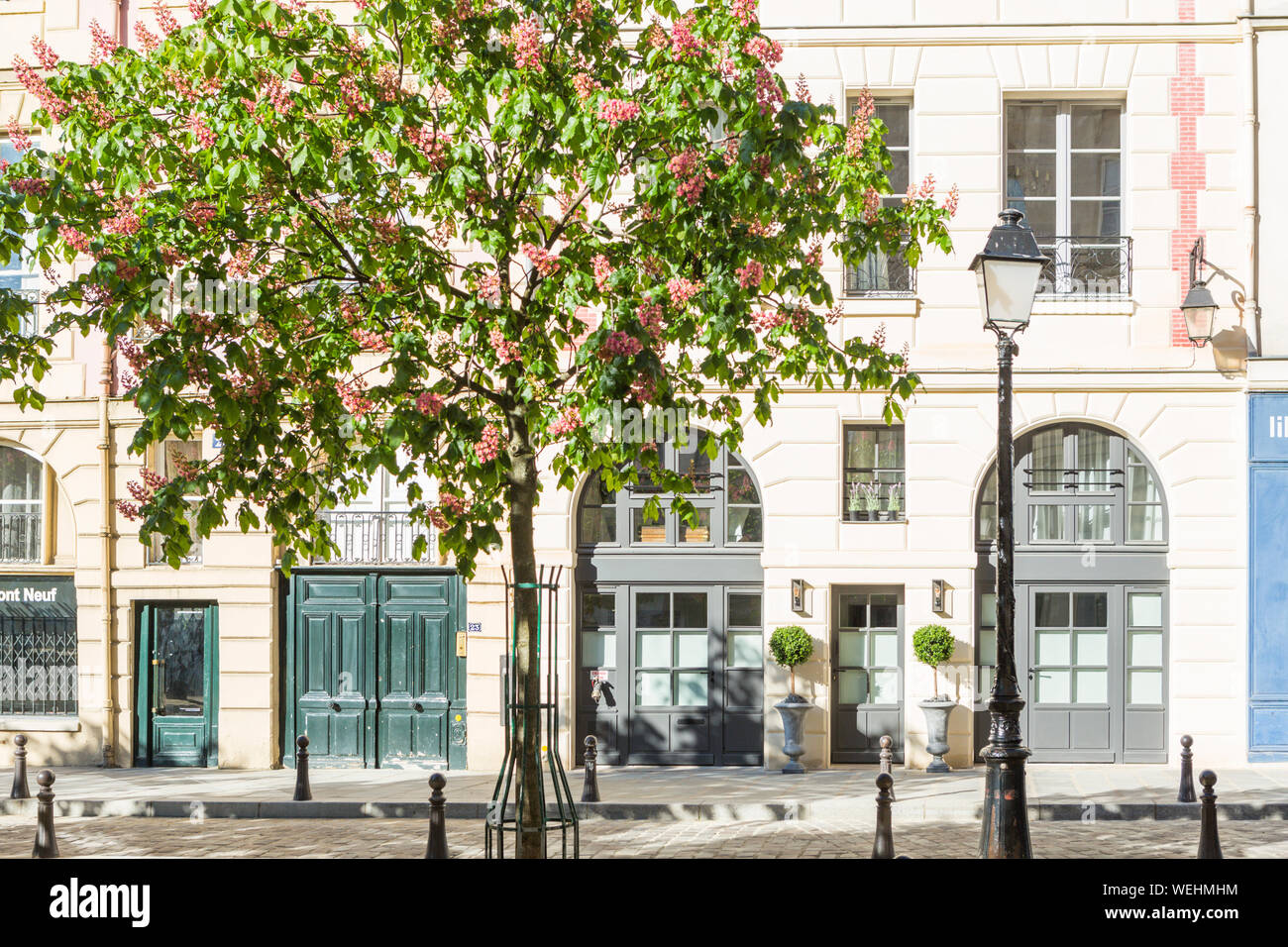 Place Dauphine with chestnut tree, Paris, France Stock Photo - Alamy