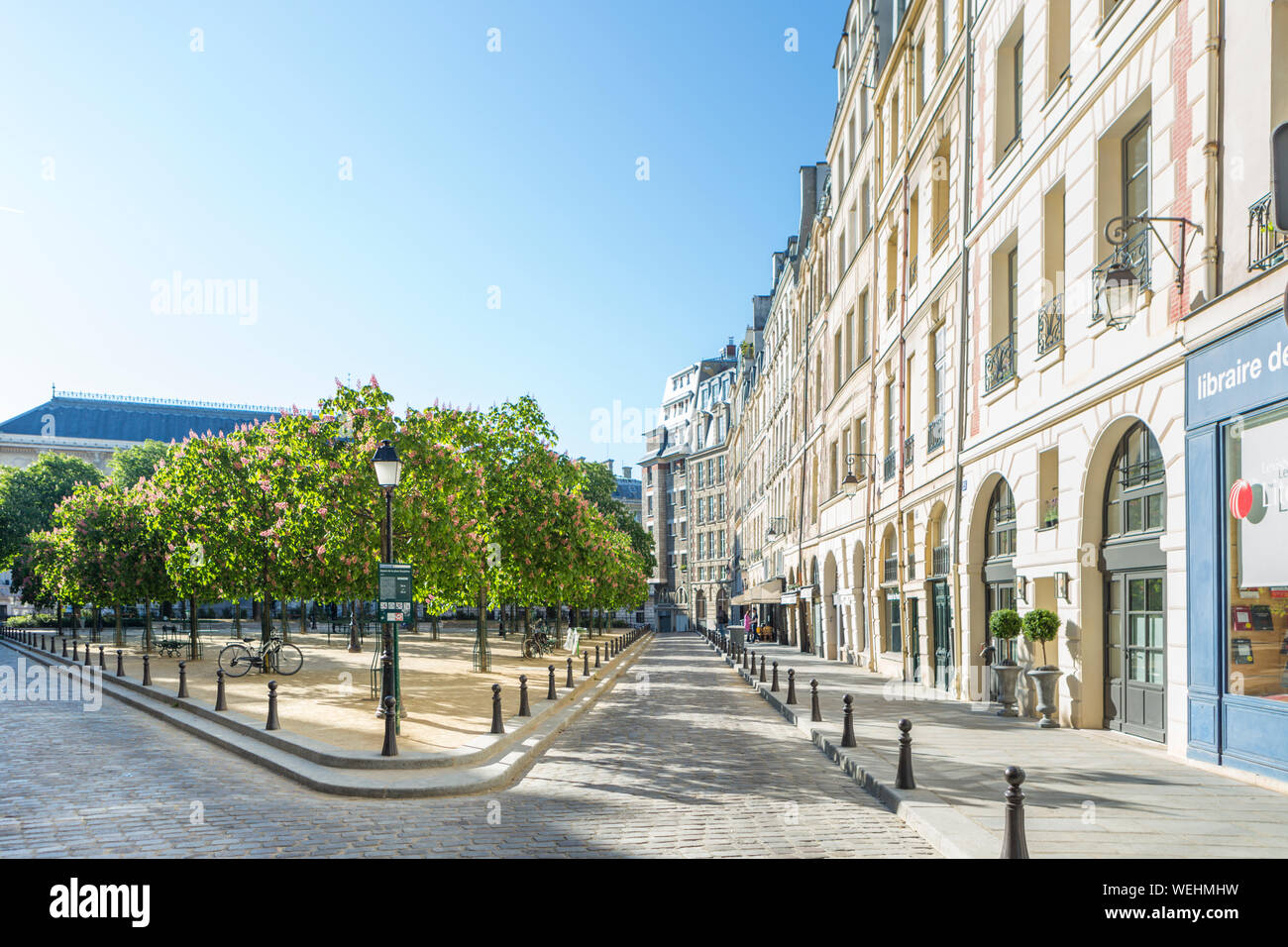 Chestnut trees in bloom in Place Dauphine, Paris, France Stock Photo ...