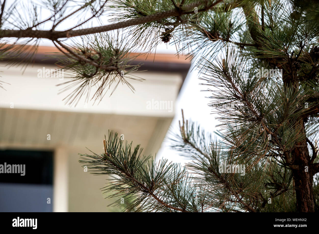 Built up section hi-res stock photography and images - Alamy