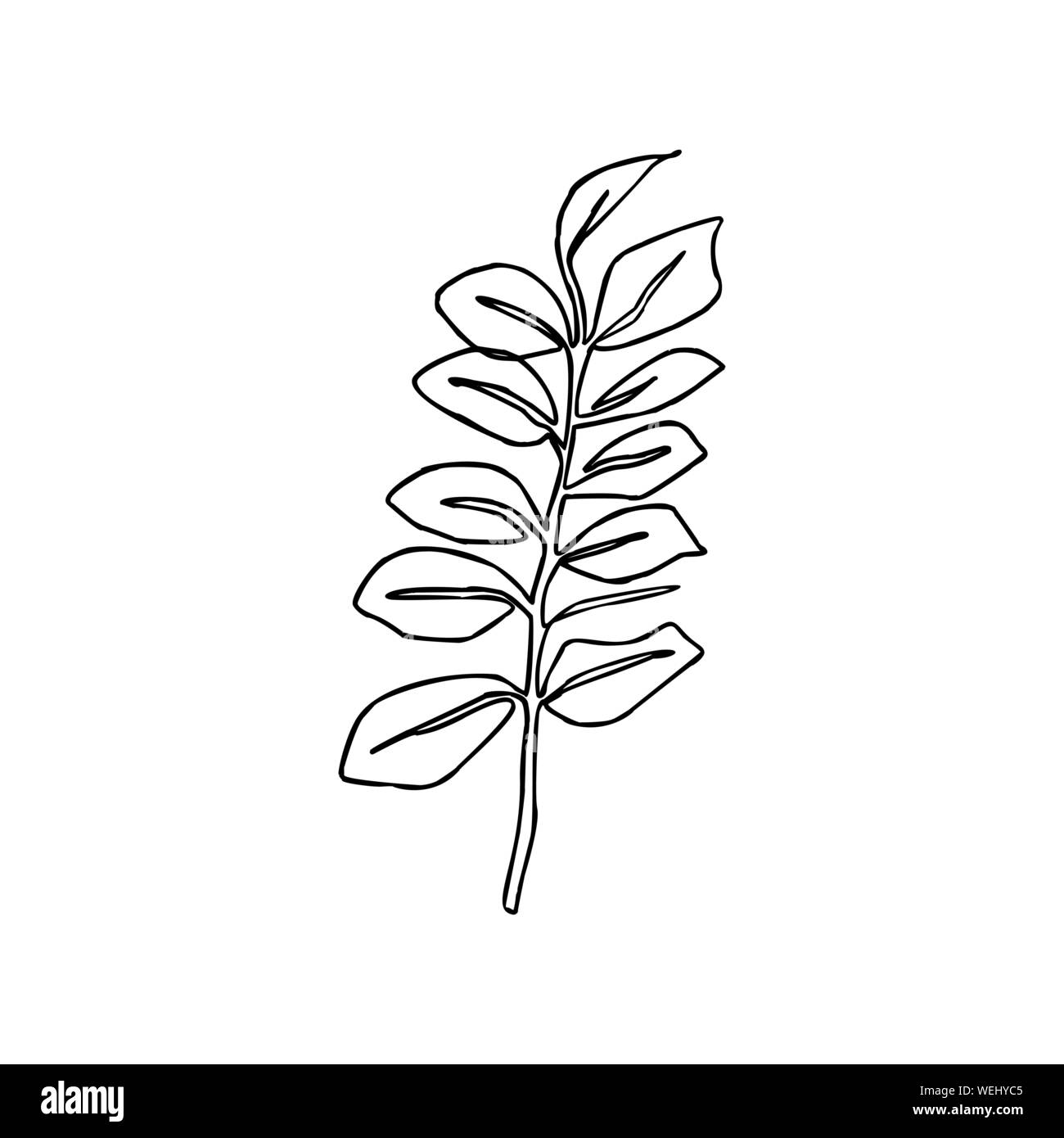 One Line branch plants. Continuous line Leaves Of The Plant In a Modern ...