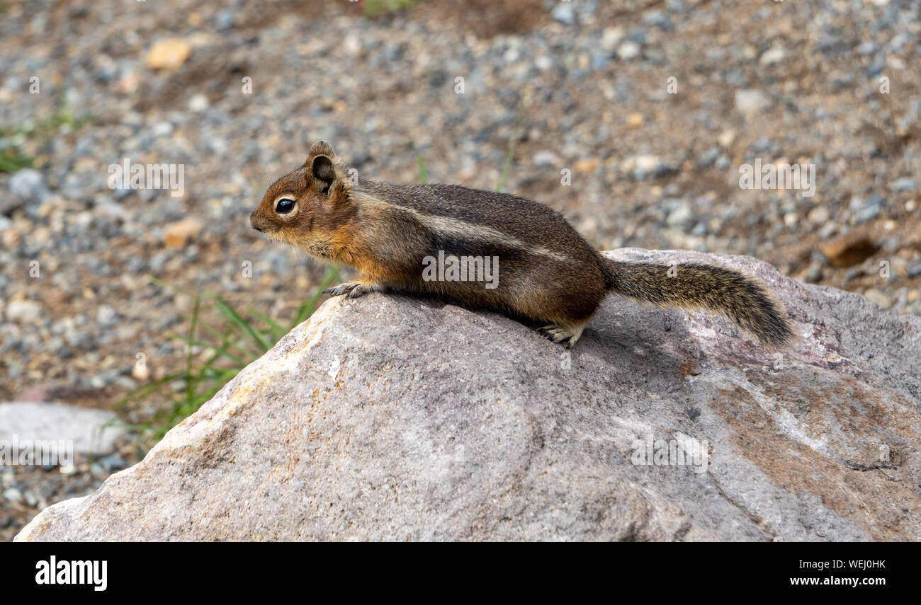 Mt townsend hi-res stock photography and images - Alamy