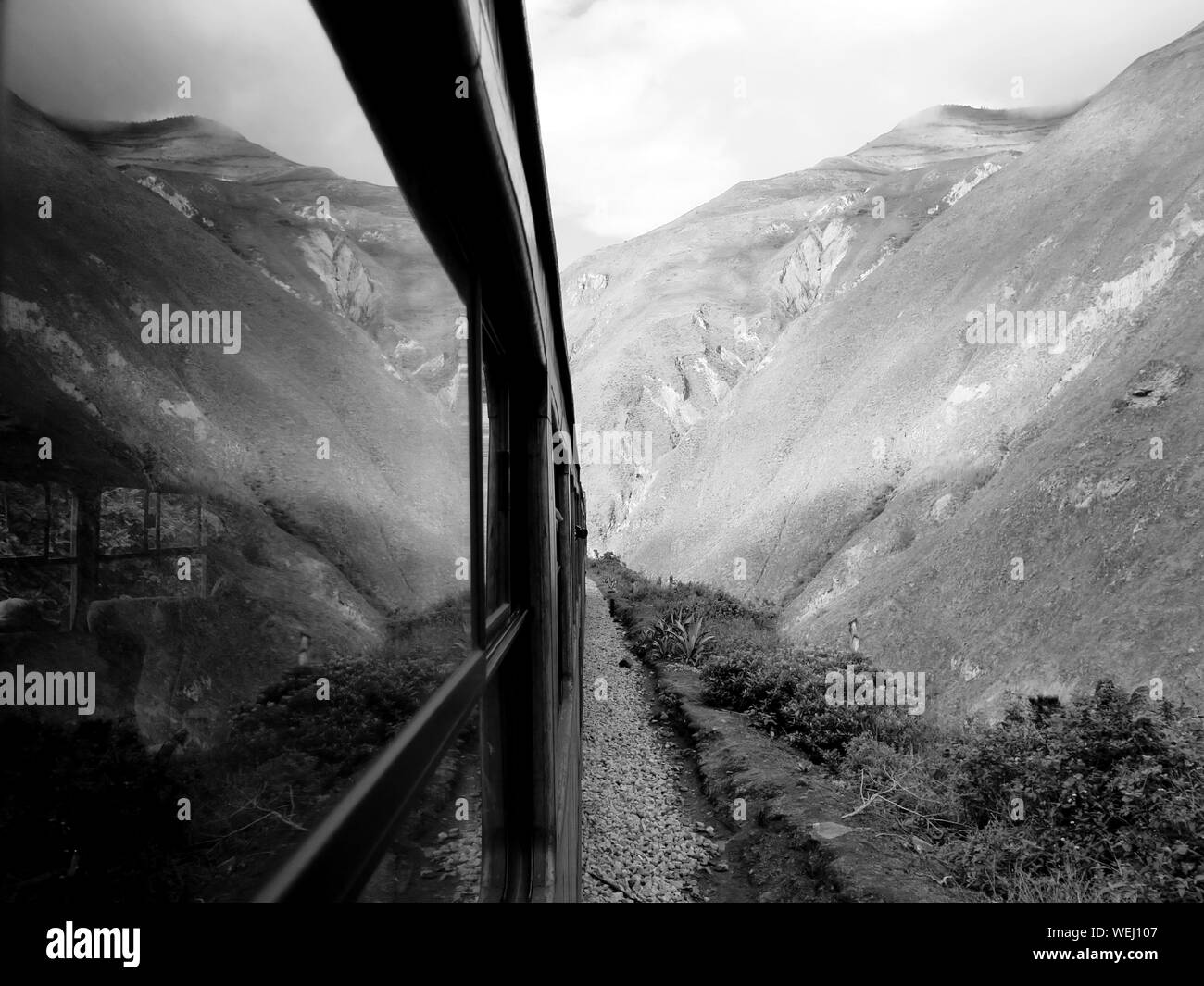 Train nature people window Black and White Stock Photos & Images - Alamy