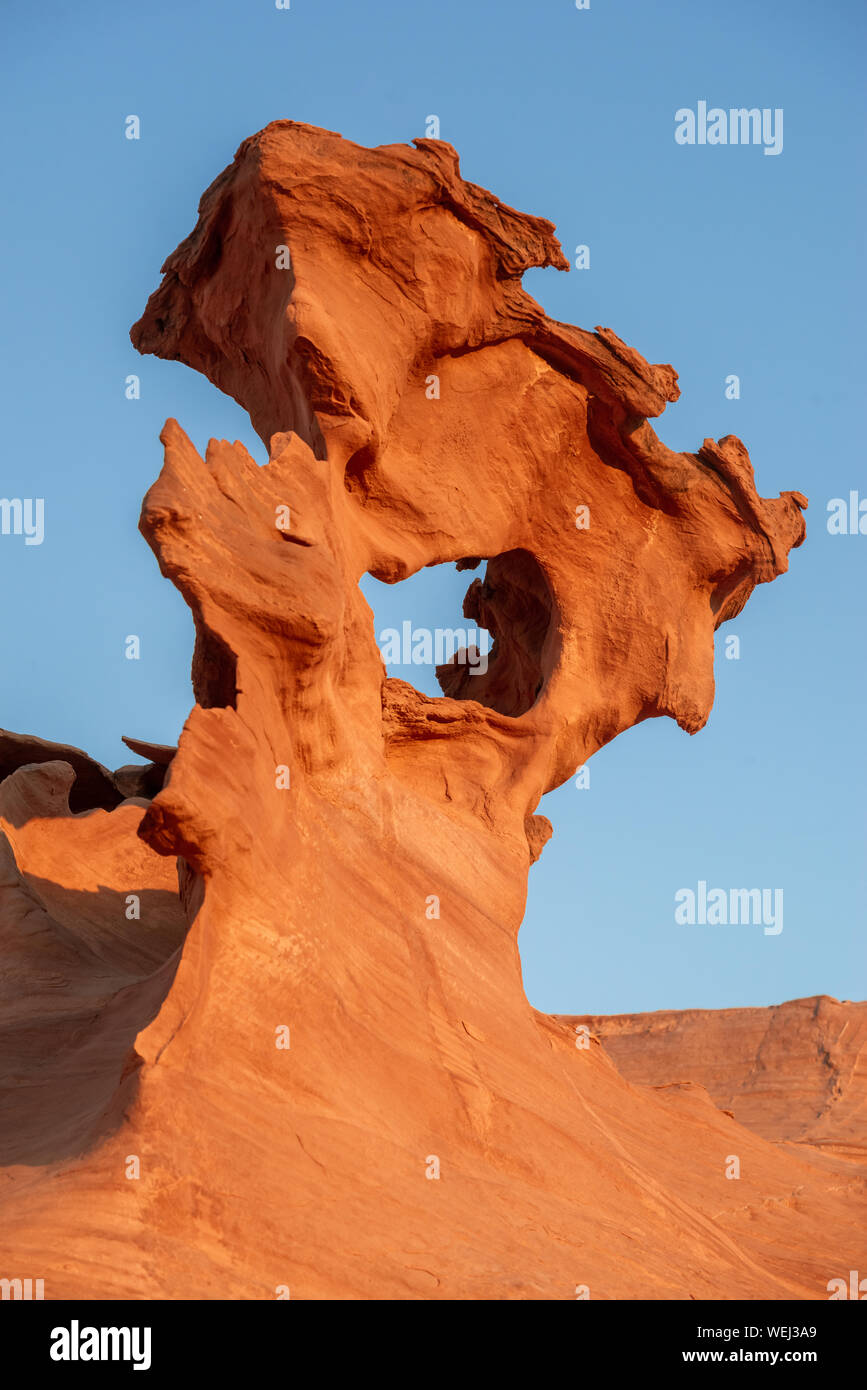 USA, Nevada, Clark County, Gold Butte National Monument. The wind blown ...