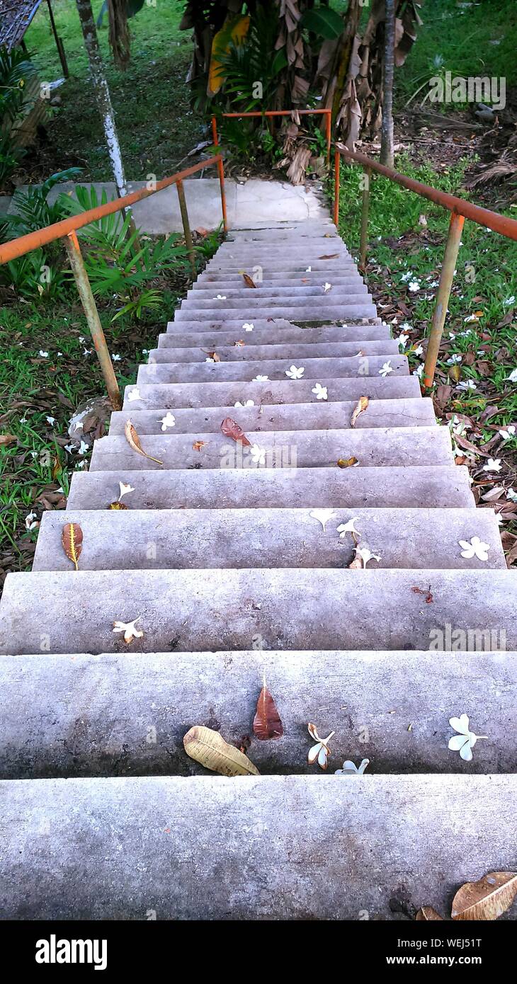 Staircase and steps hi-res stock photography and images - Alamy Staircase and steps hi-res stock photography and images - Alamy