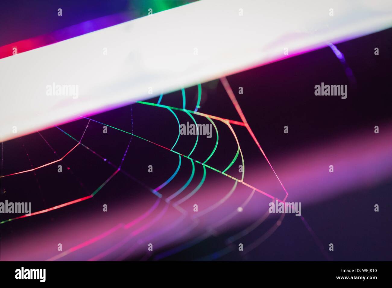 Bright ultra colored spider web or cobweb on a dark background ...