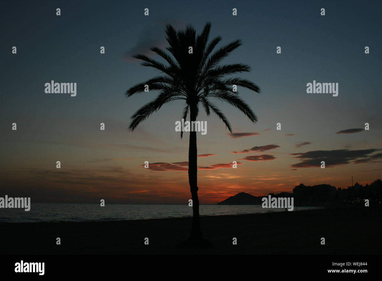 Benidorm Silhouette High Resolution Stock Photography and Images - Alamy